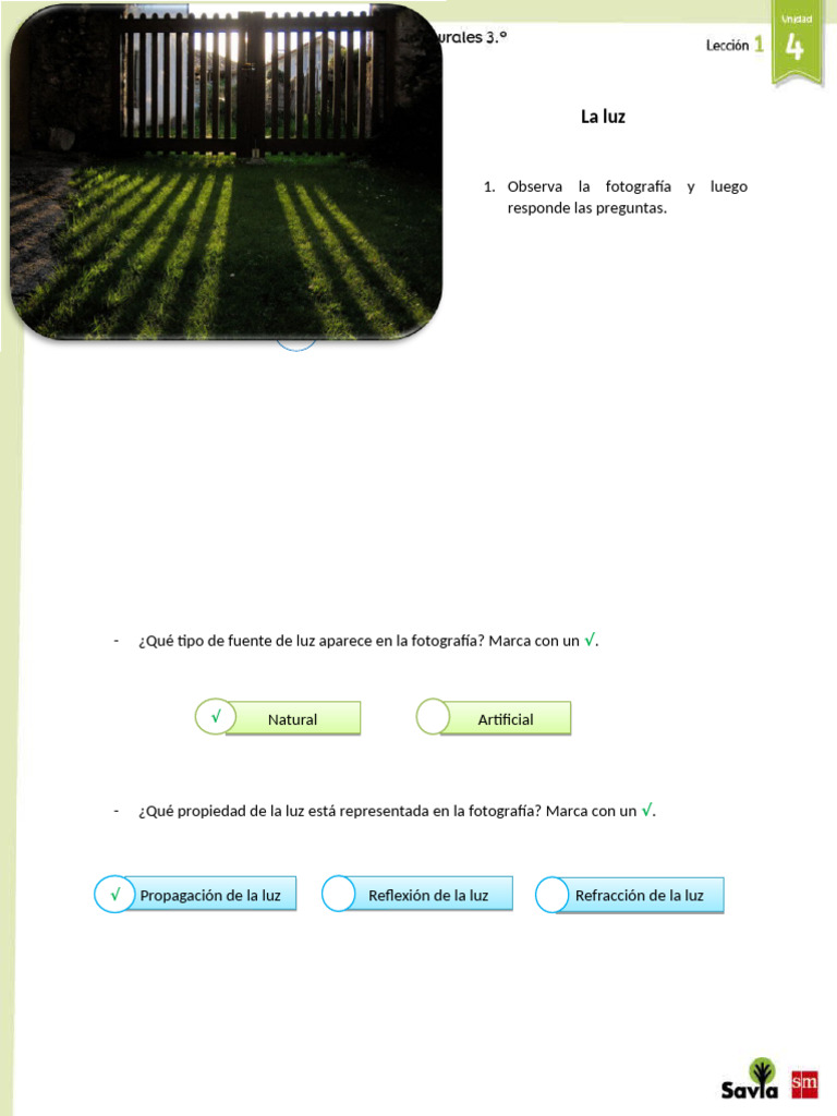 Sol Ampl U4 l1 | PDF