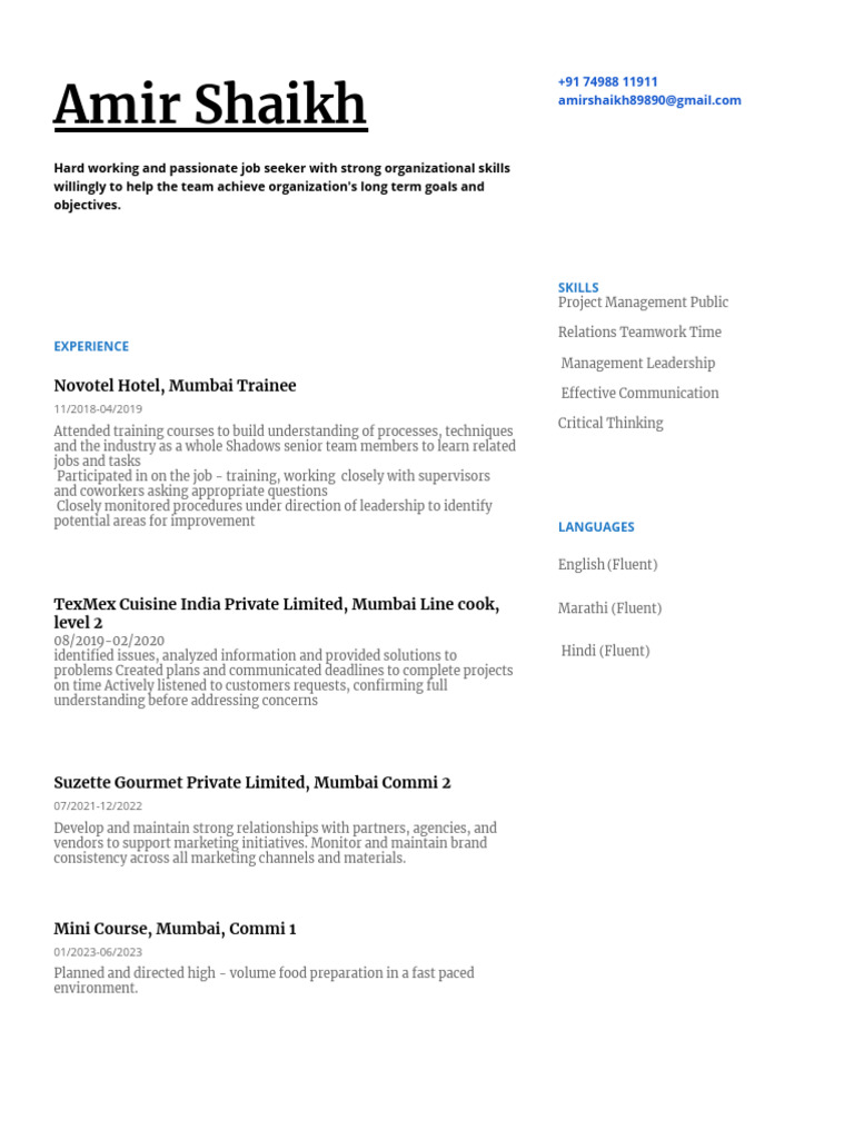 Resume of Amir Shaikh. | PDF
