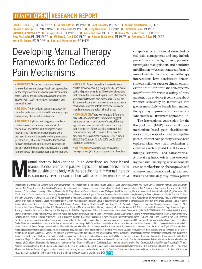 Developing Therapy Manual | PDF