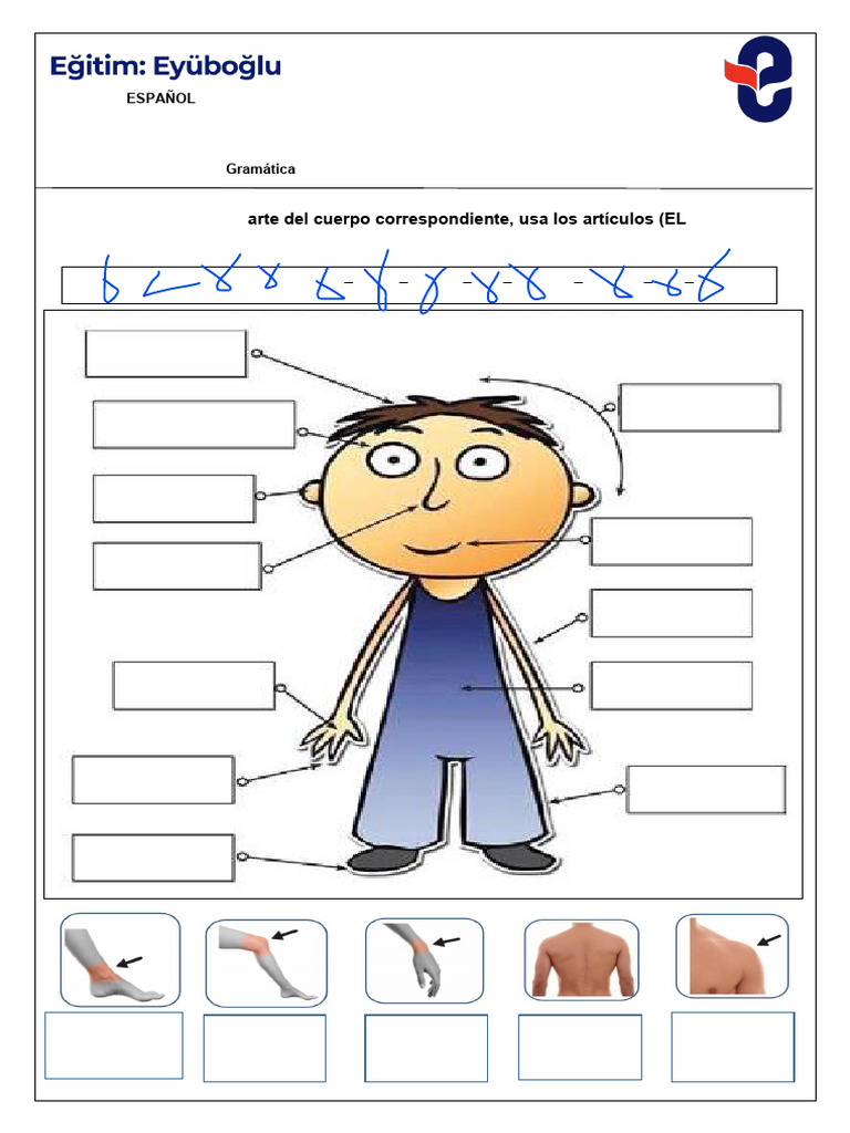 1.5 ODEV_ISPANYOLCA_7_SINIFLAR_LASALUD_VOCABULARIO_GRAMATICA | PDF