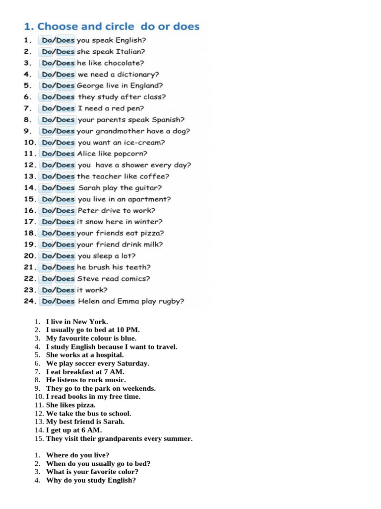 Do Does Wh Questions | PDF