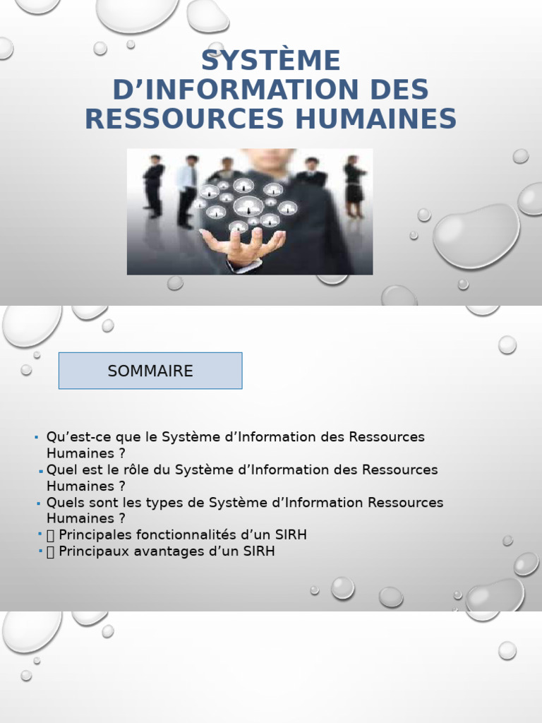Système D'information Des Ressources Humaines | PDF