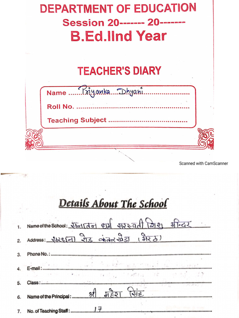Teacher Diary (School Based) | PDF