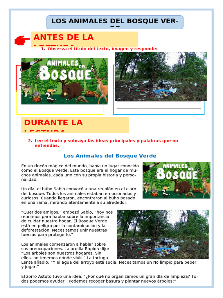 FICHA PL VIER 4 ANIMALES DEL BOSQUE | PDF