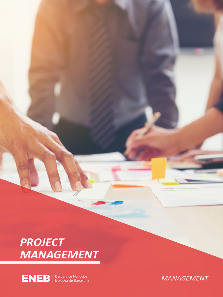 Project Management | PDF