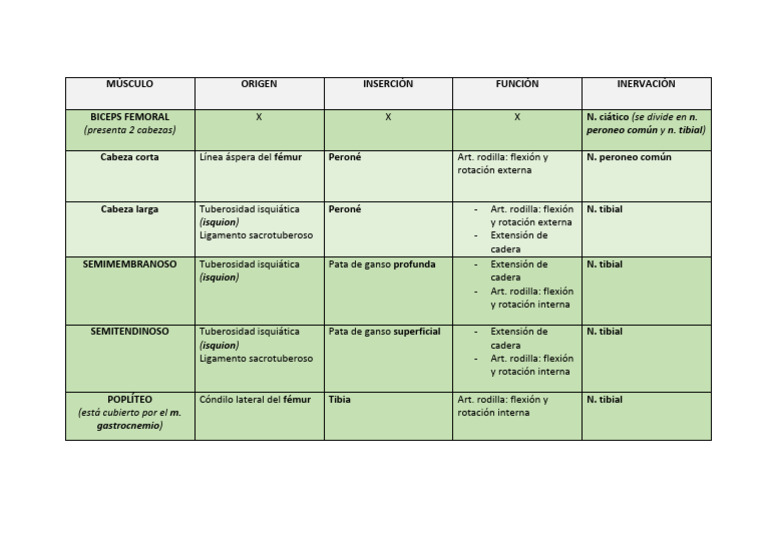 ESQUEMA TEMA 16 | PDF