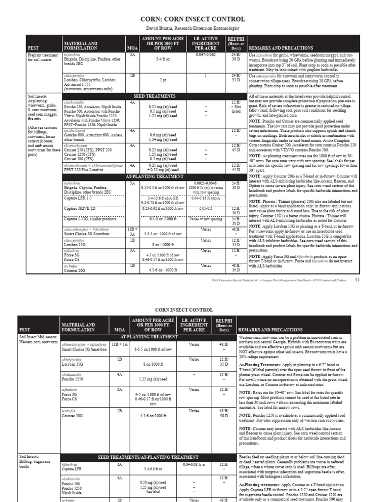 Corn - Field Corn | PDF