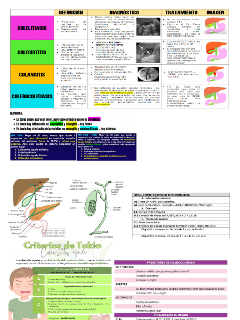 Hepatobiliar | PDF