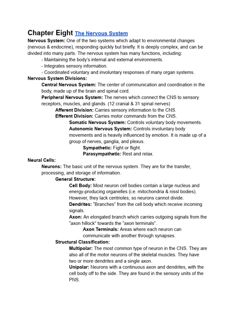 Anatomy and Physiology Notes Chapter 8_ Nervous System-2 | PDF Anatomy and Physiology Notes Chapter 8_ Nervous System-2 | PDF