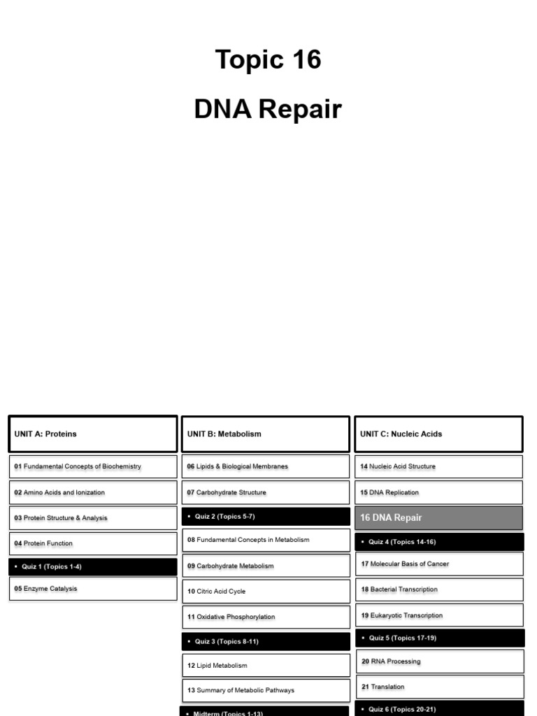 Topic 16 2023 - DNA repair for posting | PDF