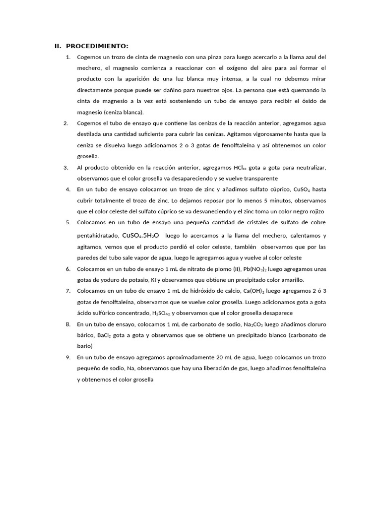 Procedimiento | PDF