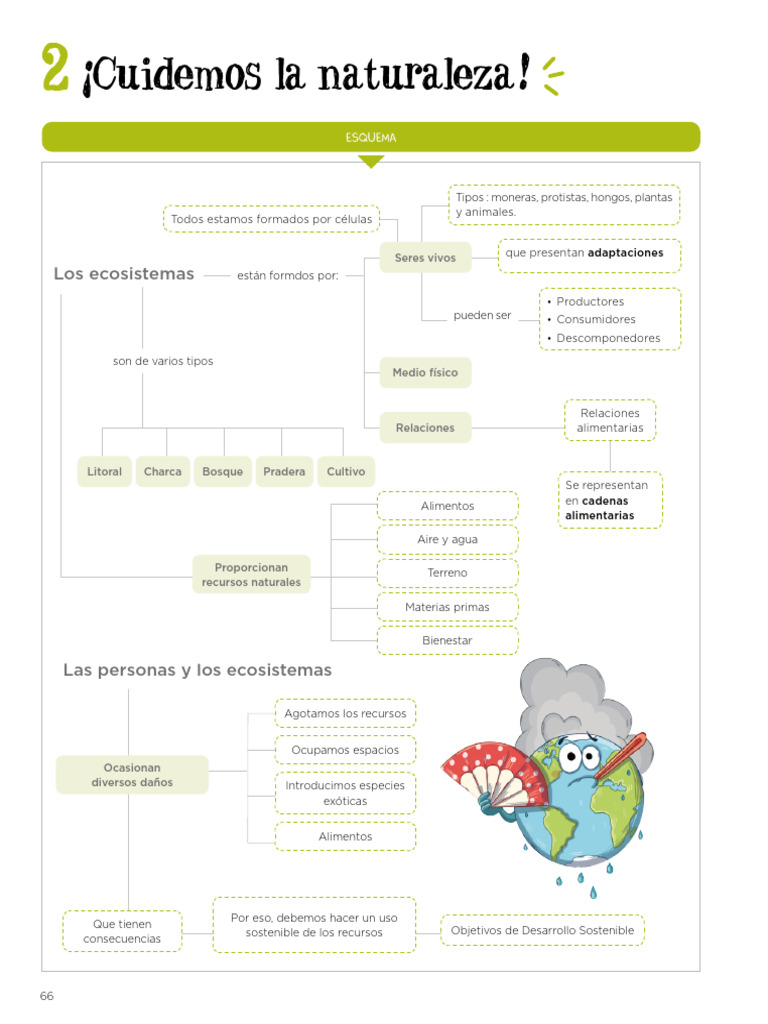 Esquema Tema 2 Cono Repaso Ev. Inicial | PDF | Ecosistema | Ciencia medioambiental