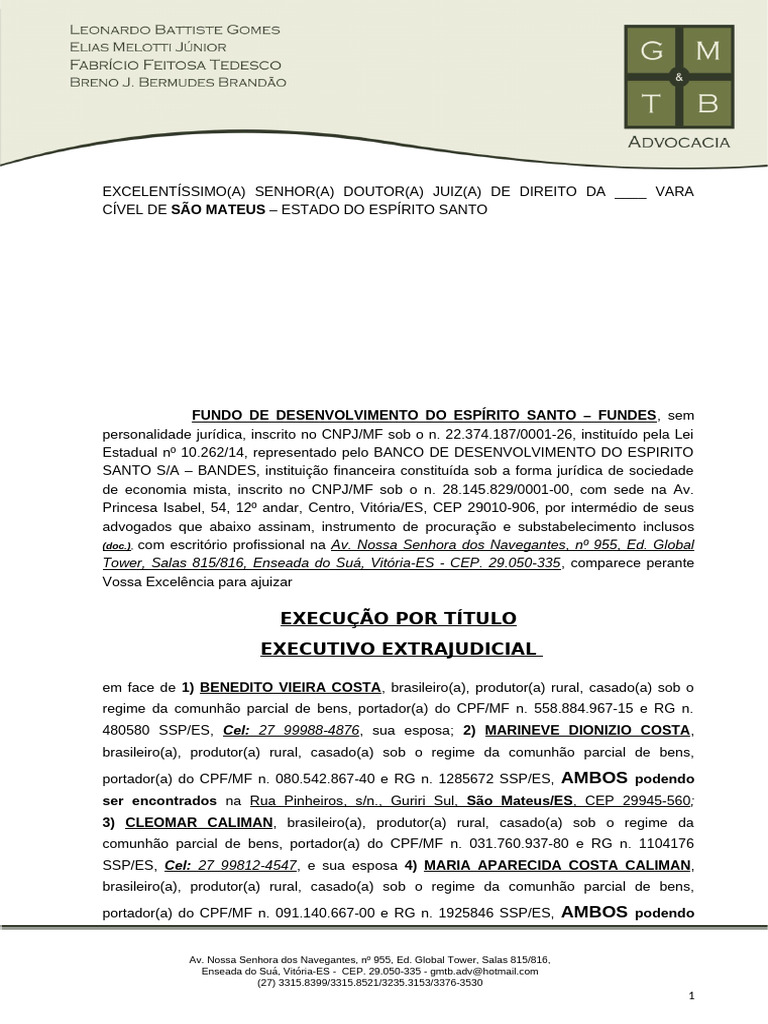 MODELO - Exec - FUNDES | PDF