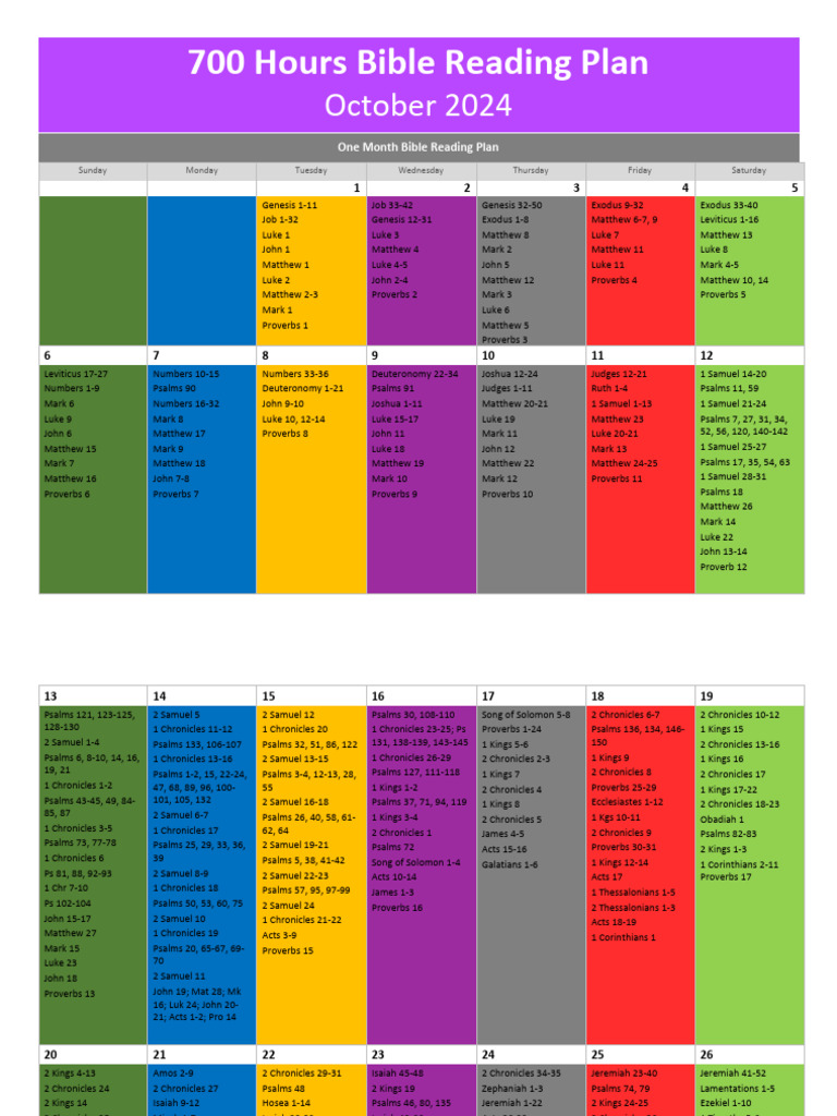 700 Hours Bible Reading Plan | PDF | Bible | Ezra