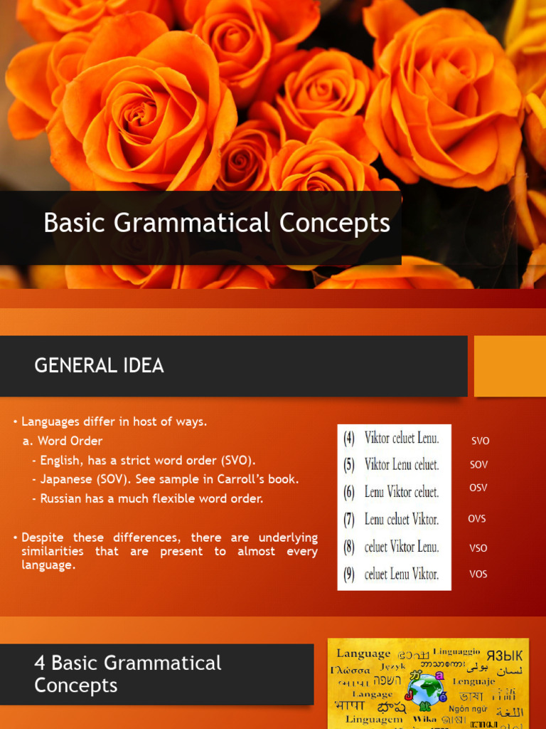 Basic Grammatical Concepts | PDF