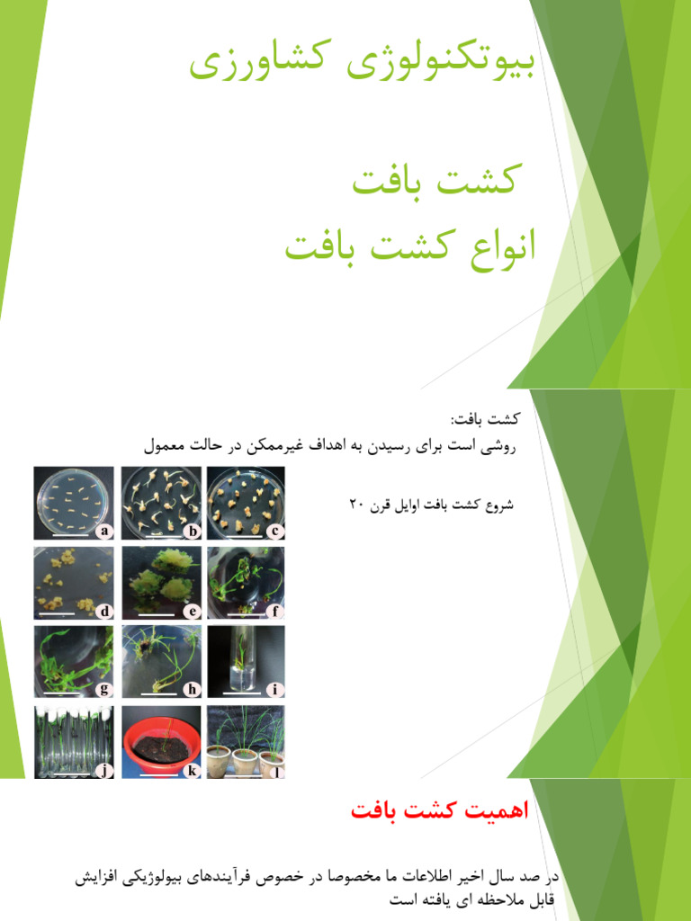 plant biotech file 1 (1) | PDF