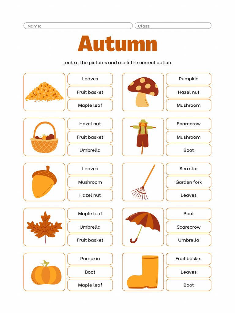 Brown Orange Illustrative Autumn Vocabulary Worksheet | PDF