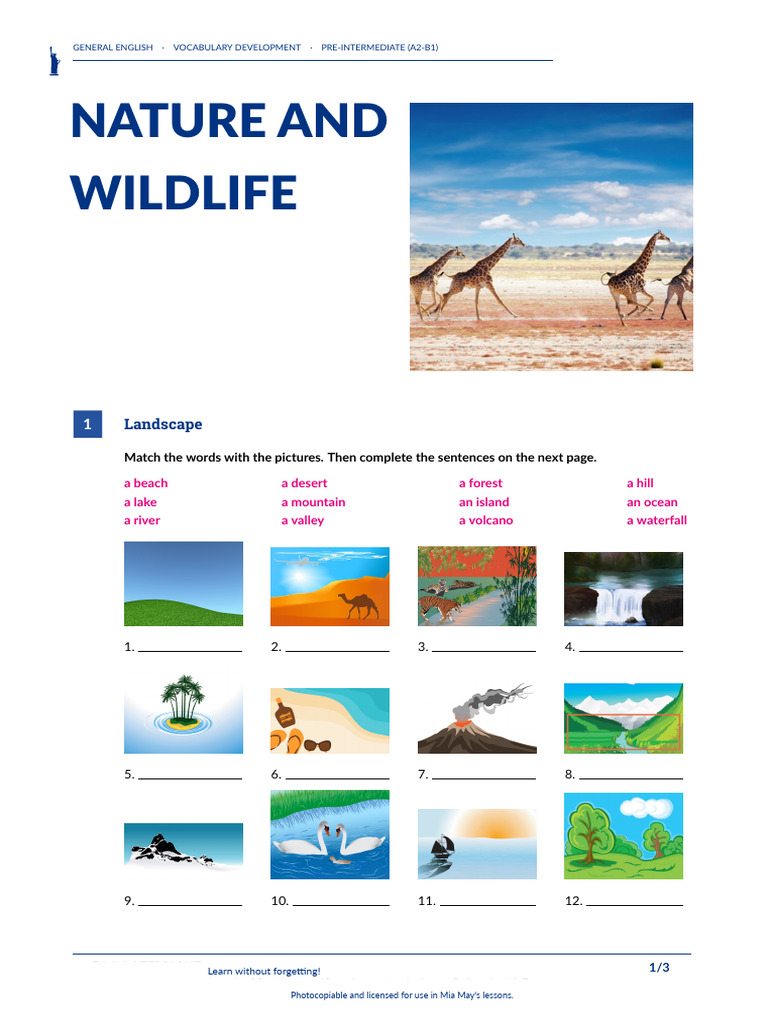 Nature and Wildlife American English Teacher Ver2 | PDF