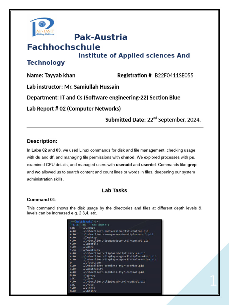 Abdul Moiz CN Lab Report 02 | PDF