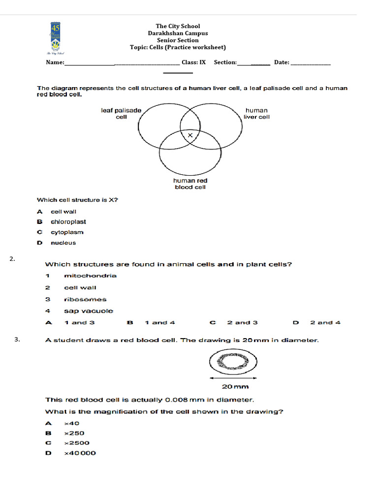 Cell Structure And Organization 2 Pdf