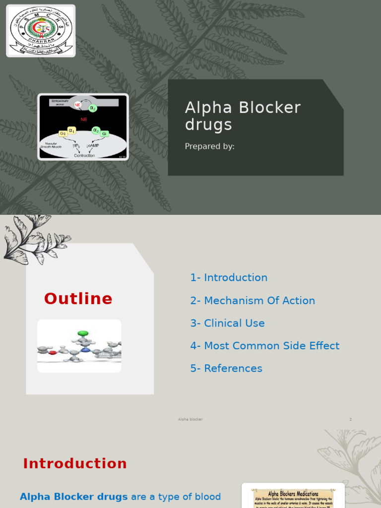 Alpha Blocker | PDF