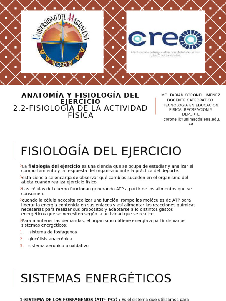 2.2 Fisiologia de La Actividad Fisica | PDF