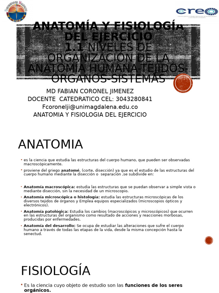 1.1 Niveles de Organizacion Humana | PDF