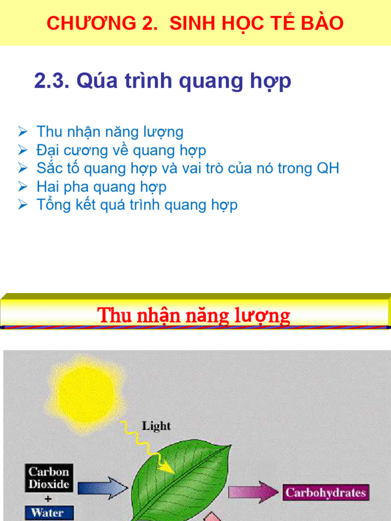 Chuong 2 Sinh Hoc Te Bao - Quang H P | PDF