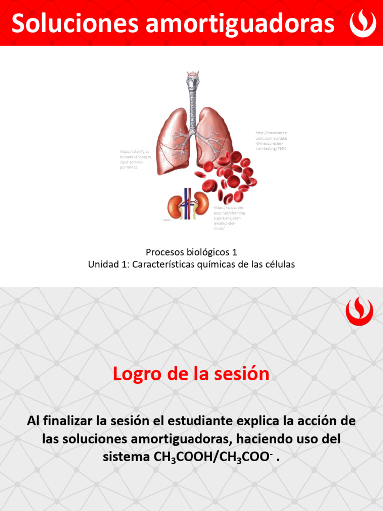 Te03 Soluciones Amortiguadoras | PDF | Solución tampón | Ácido