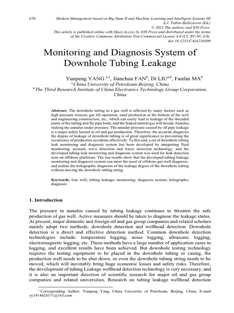 Monitoring and Diagnosis System of Downhole Tubing | PDF | Leak | Casing (Borehole)