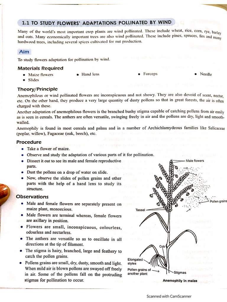 Bio 1 | PDF