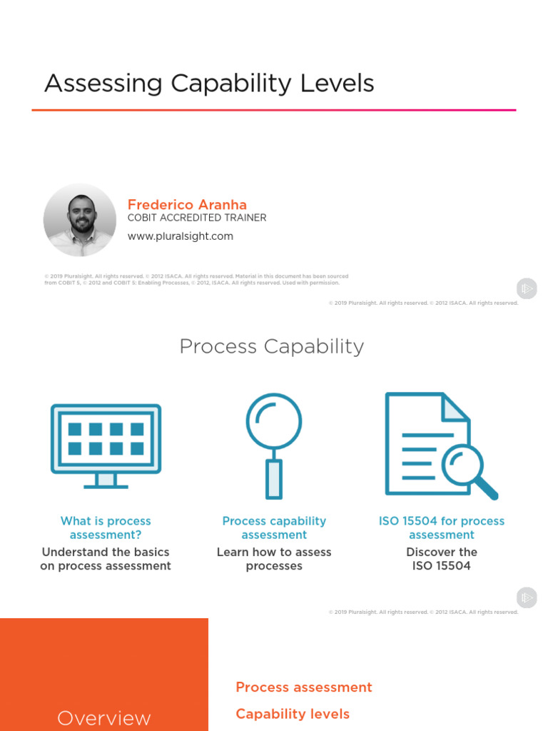 Assessing Capability Levels Slides | PDF | Business | Business