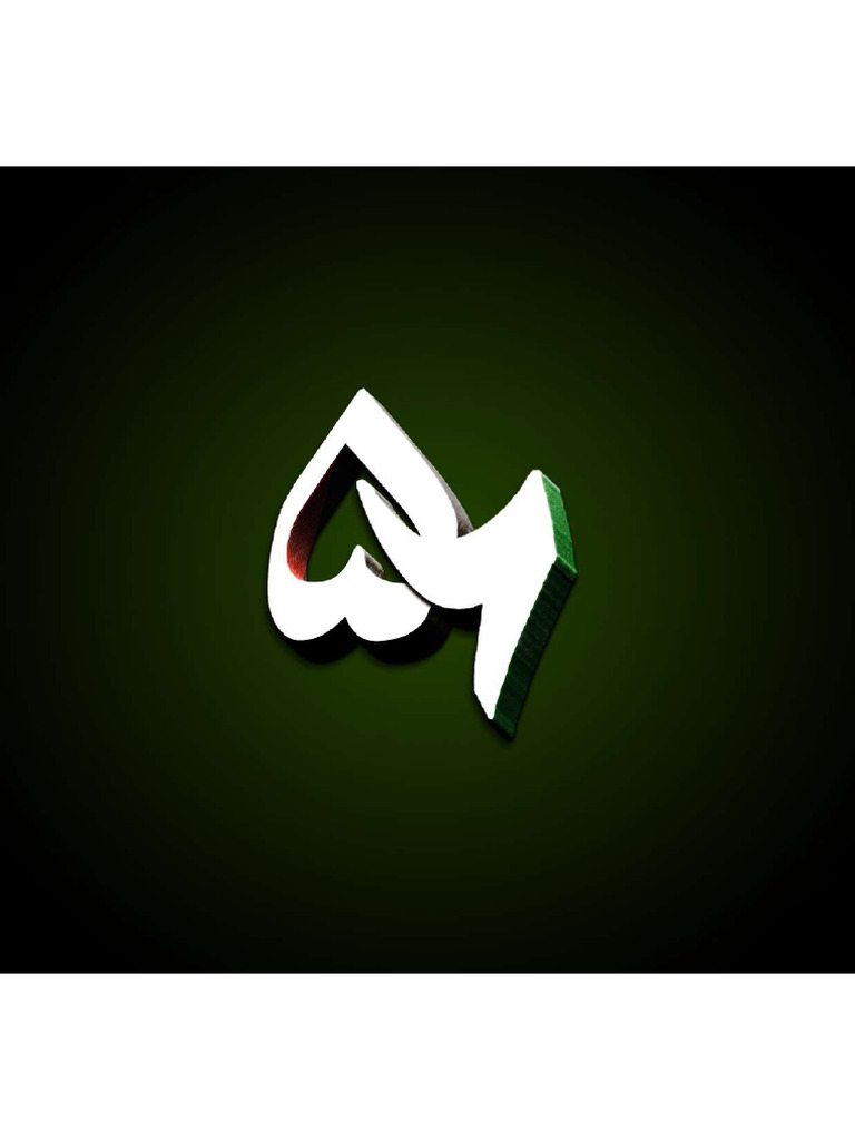 Fakhir Ali Portfolio | PDF