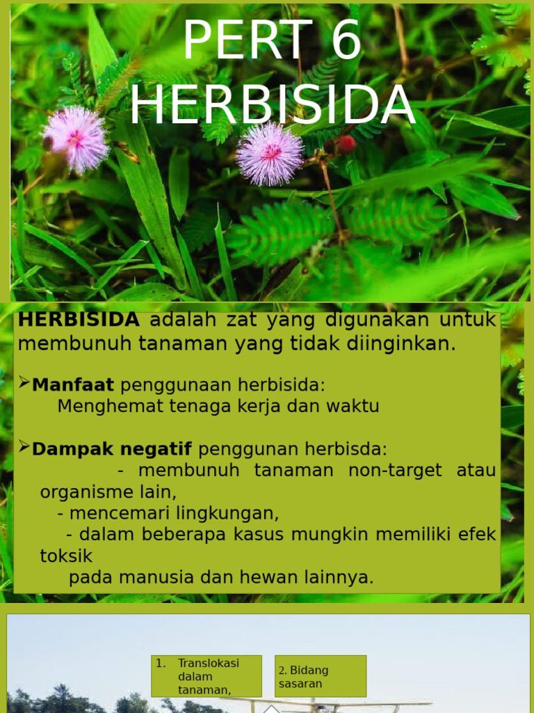 Pert 6 Pest 20 Okt 22 Herbisida | PDF