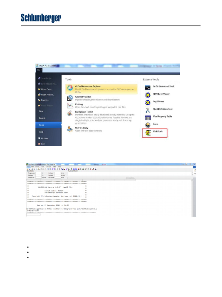 Caracterizacion de Fluidos Utilizando Multiflash | PDF