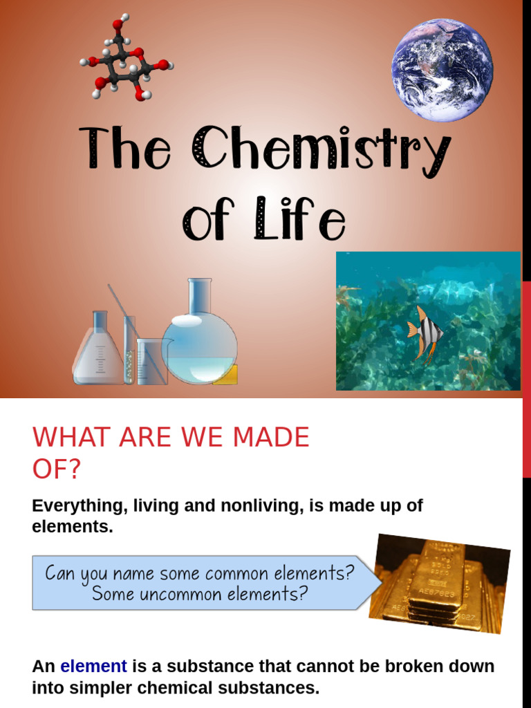 Biochemistry Notes | PDF