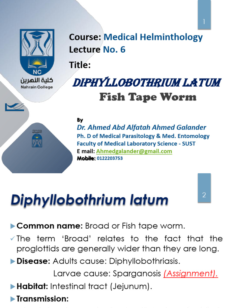 6 - D.latum | PDF | Vitamin B12 | Epidemiology