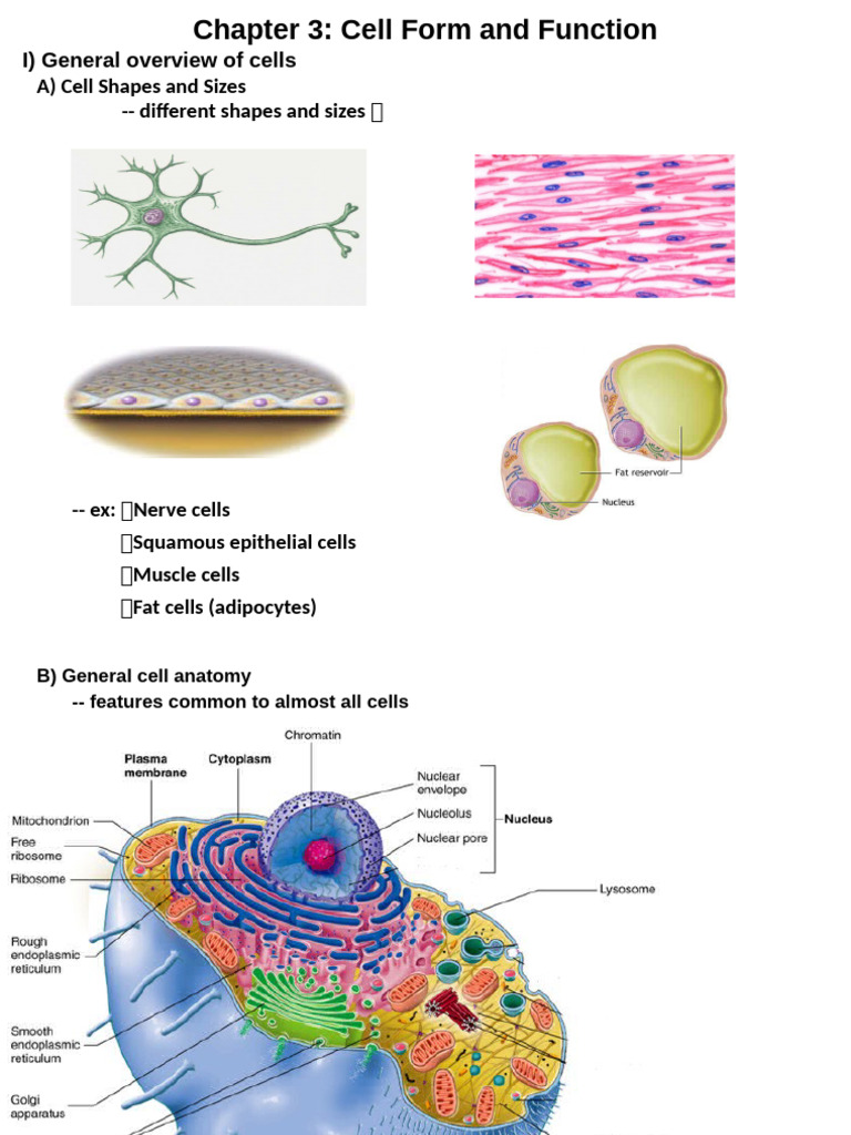Chap 03 Lect 01 Acc | PDF