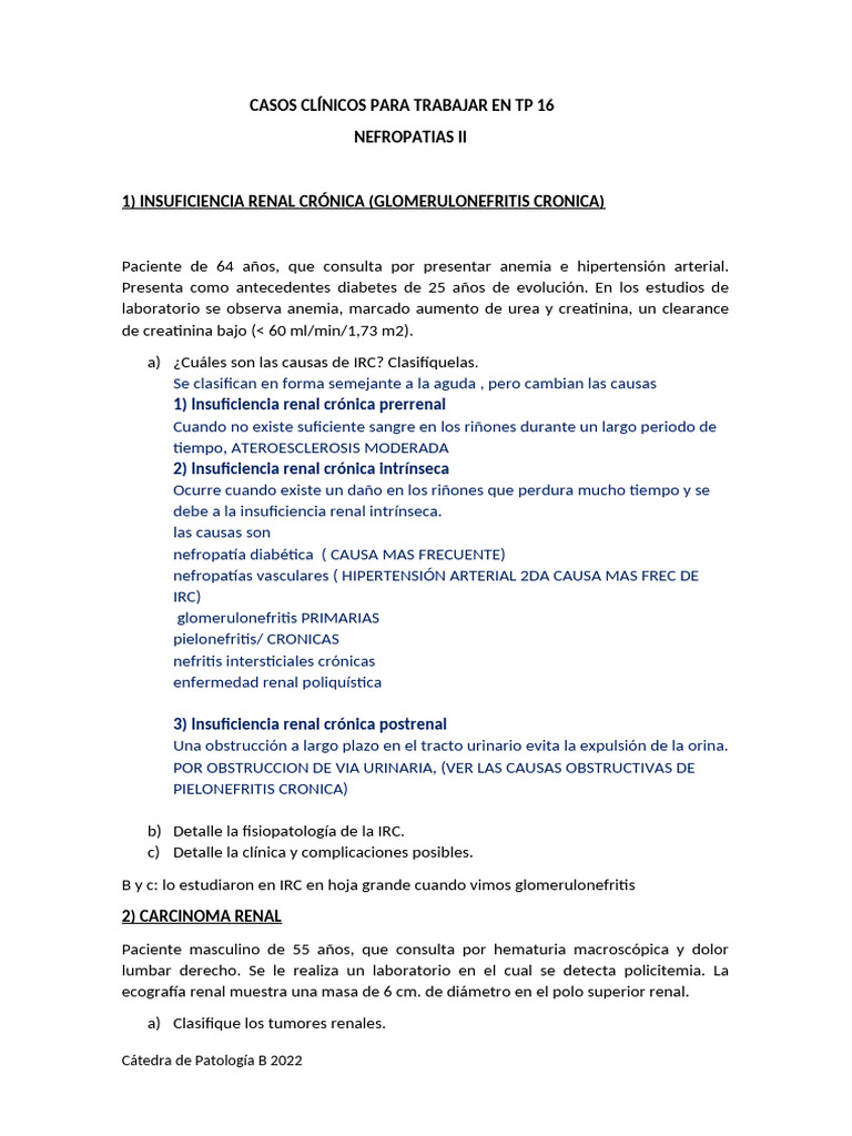 16) Casos ClÃ Nicos para Trabajar en PatologÃ A Renal II | PDF
