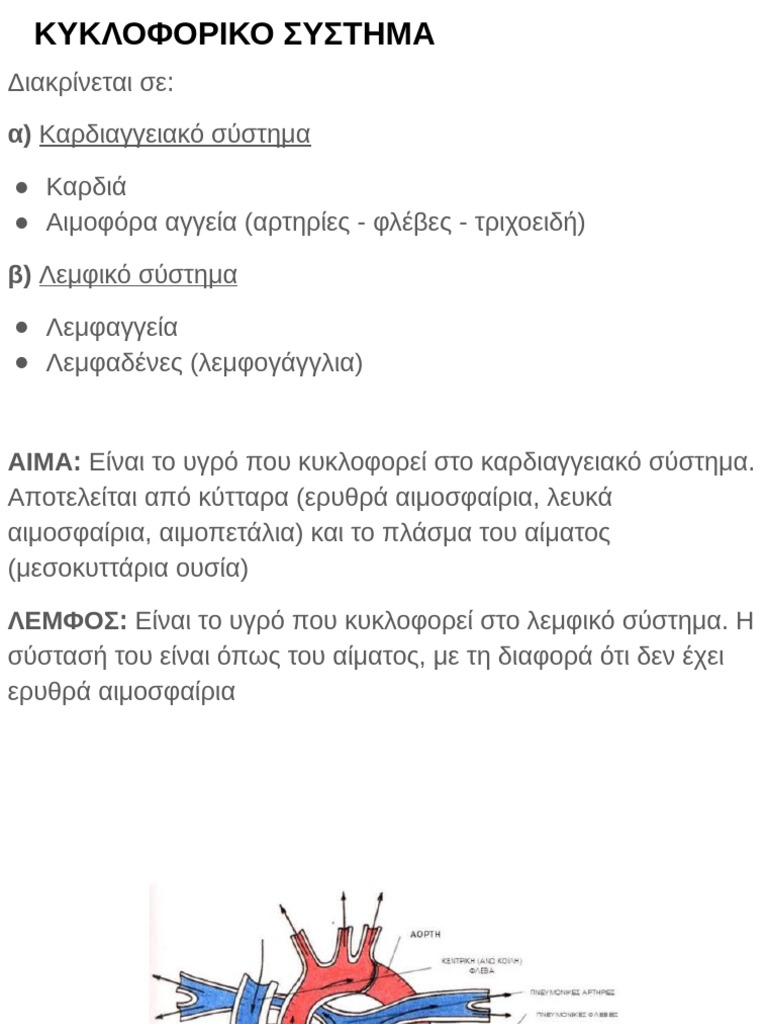 ΑΝ.ΦΥ.6 - ΚΥΚΛΟΦΟΡΙΚΟ ΣΥΣΤΗΜΑ | PDF