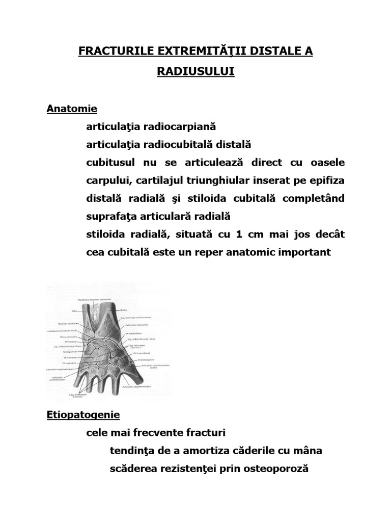 Curs 07 Radiusul Distal | PDF
