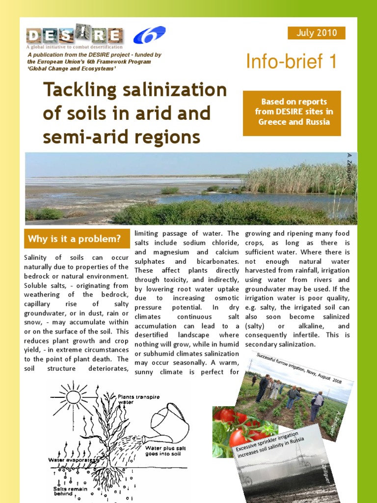 Info-Brief 1: Salinization | PDF | Soil | Irrigation