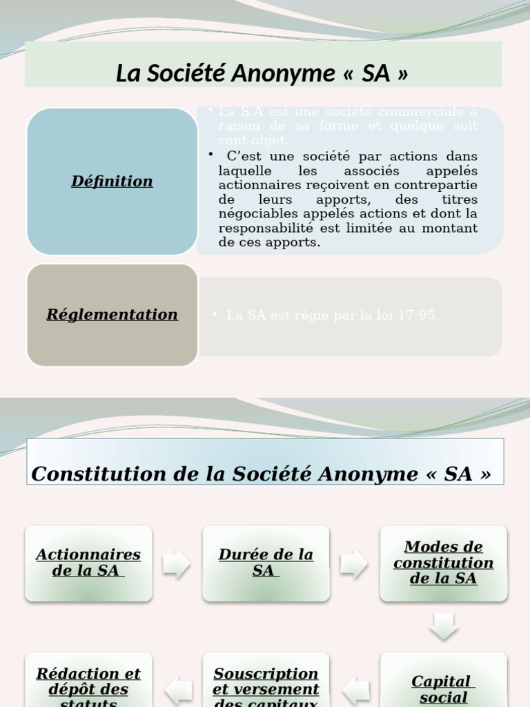 La Société Anonyme SA : Définition | PDF