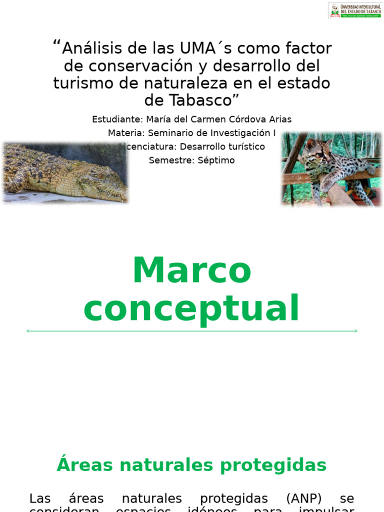 Marco Conceptual y Contextual | PDF | Social Science | Science & Mathematics