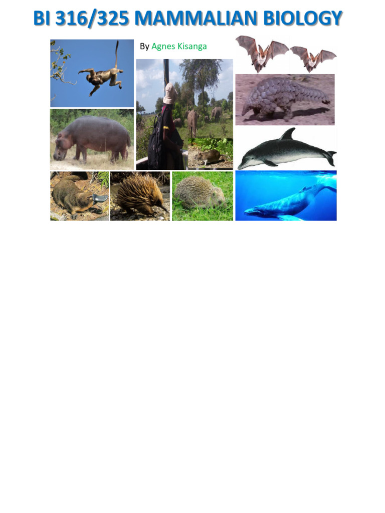 Lecture 1-Mammals Introduction and Evolution | PDF | Mammals | Reptile