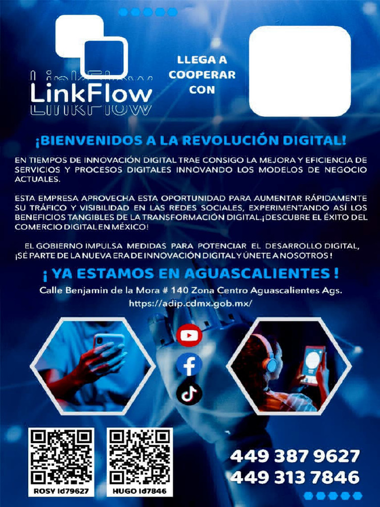Cartel de Alianza de Linkflow | PDF