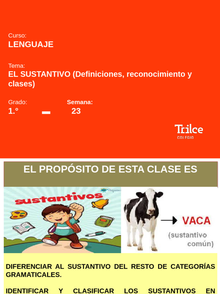 LE - 1ro - El Sustantivo I | PDF