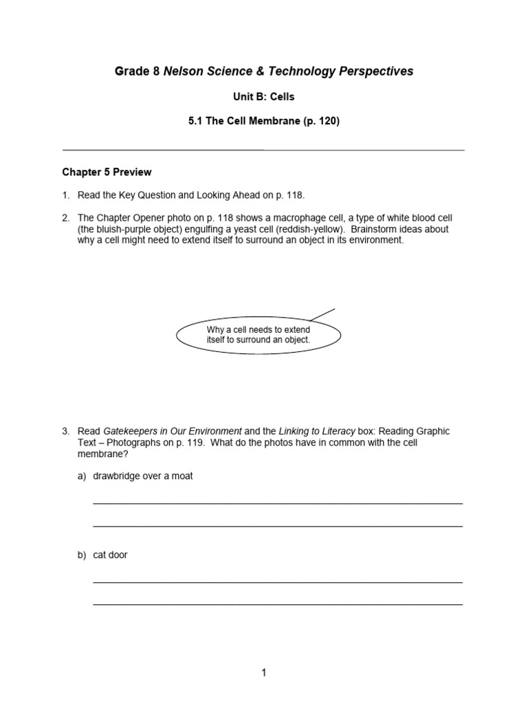Gr. 8 Science Unit B - 5.1 The Cell Membrane | PDF