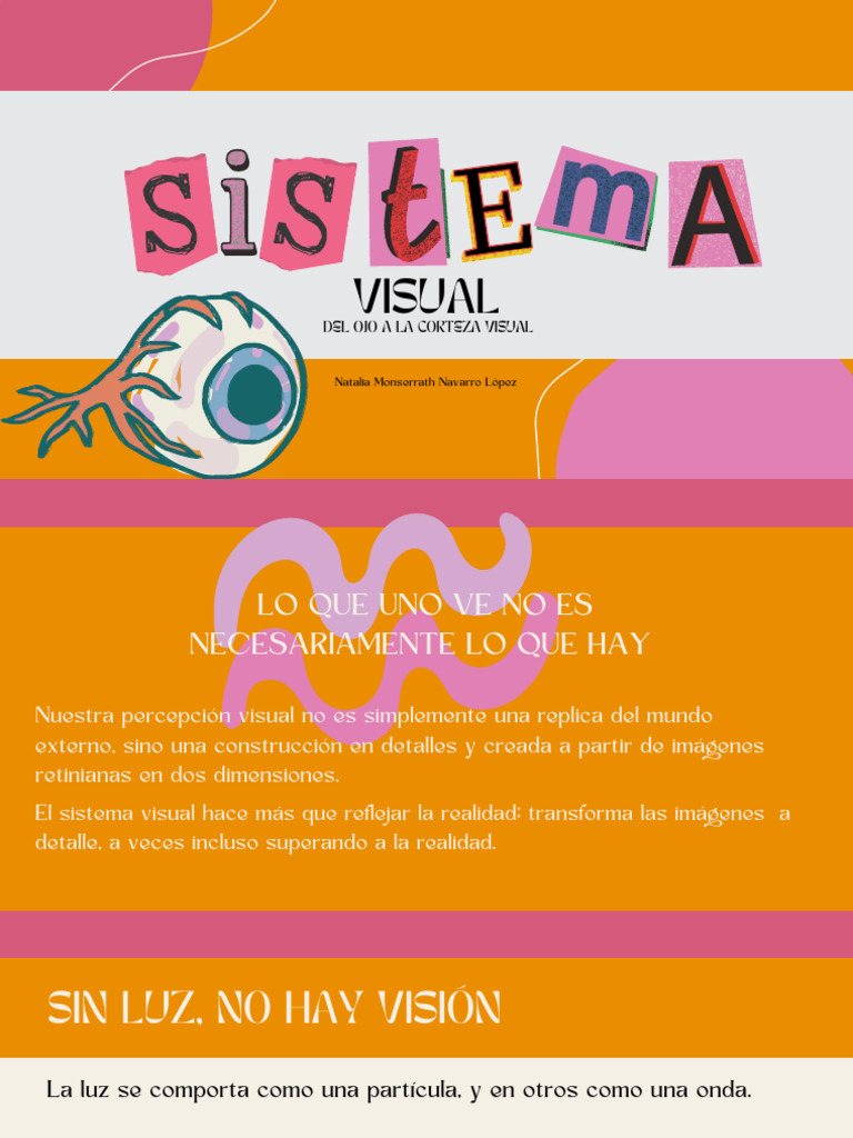 Sistema Visual | PDF