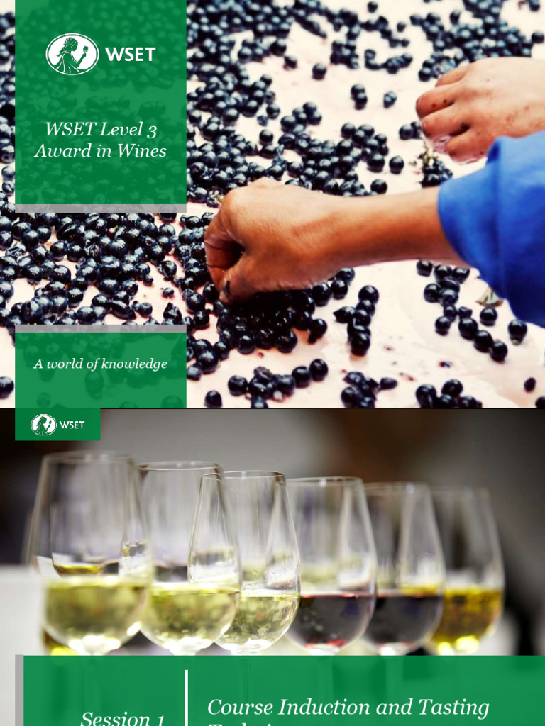 Module 1 - The Systematic Approach To Tasting - WSET L3 Wines | PDF